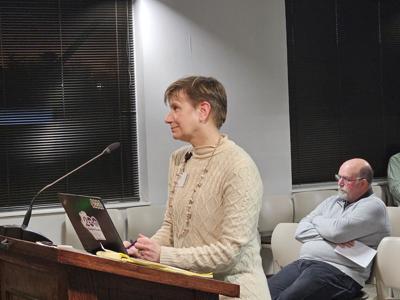 Davidson County commissioners vote to add new social worker positions ...