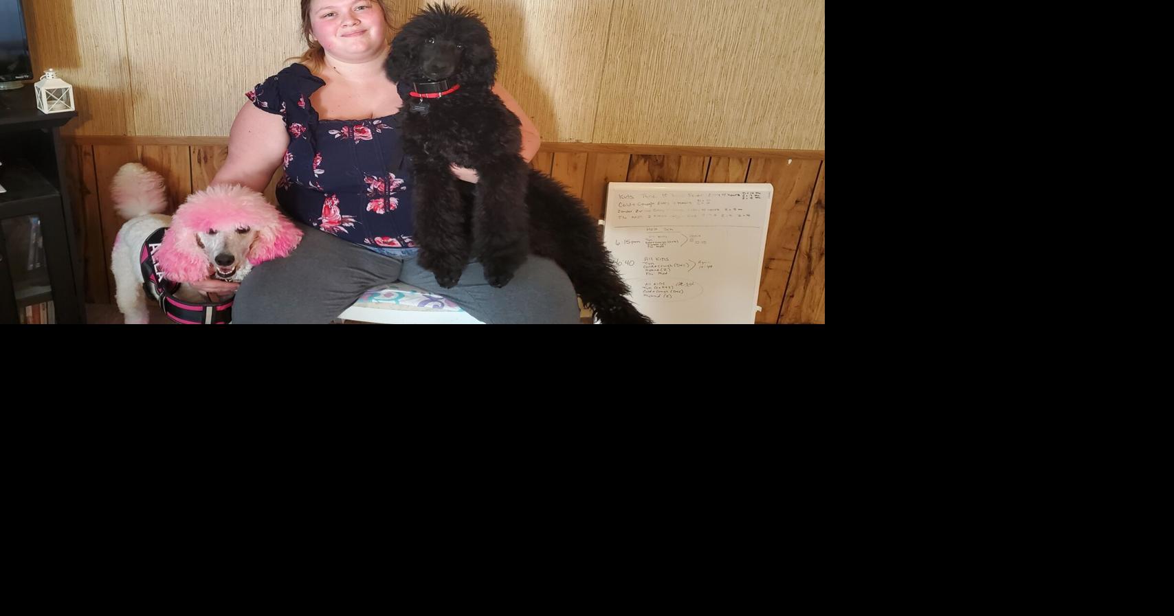 Davidson County woman opens home-based dog grooming business | | the ...