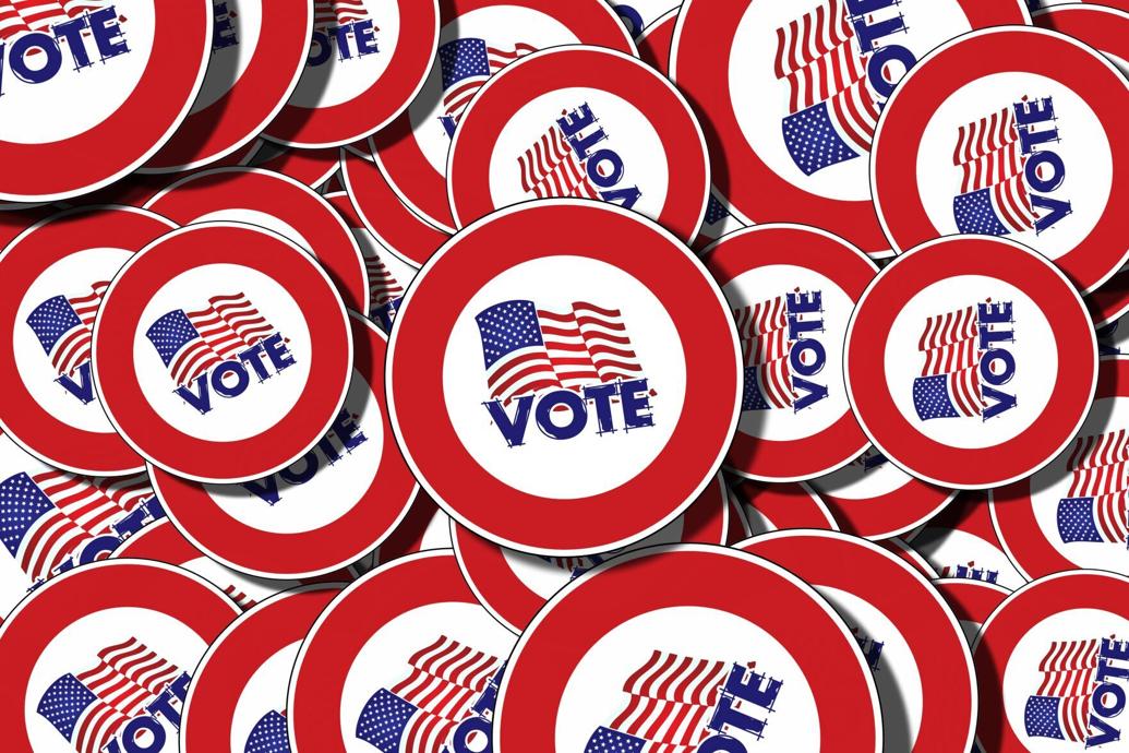 Early voting begins ahead of March 3 Primary in Davidson County | Local ...