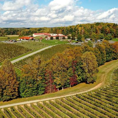 Check out these 5 things to do this weekend in Davidson County ...