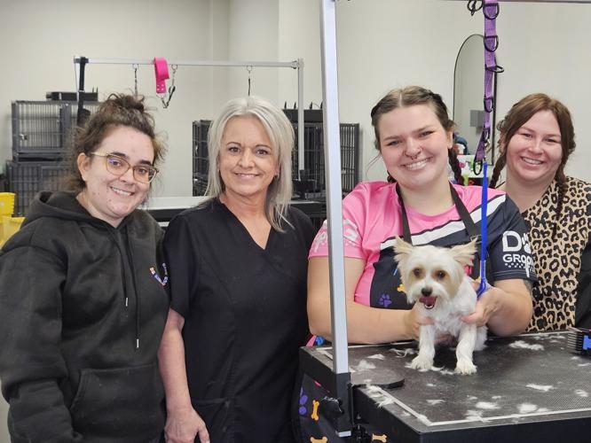 Arcadia’s Donna Greer trades corporate life for paws and pampering | Business | the-dispatch.com
