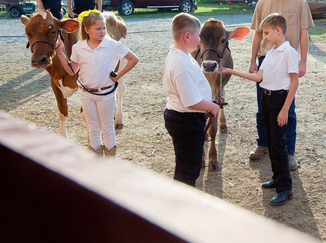 Scenes Around the Dairy Cow Show | News | the-dispatch.com