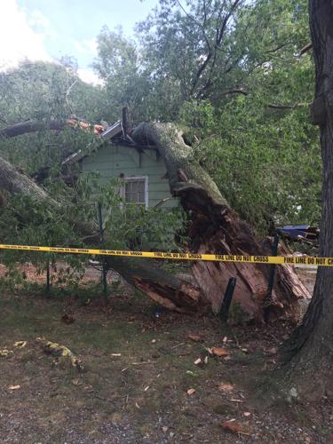 Tree limb lands on house | News | the-dispatch.com