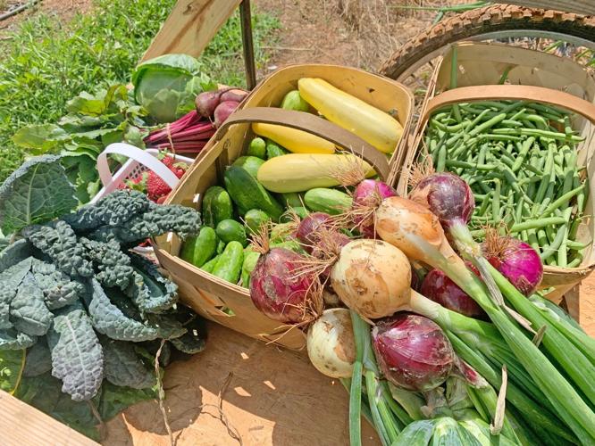 Eight years in, family farm still growing | Features | the-dispatch.com