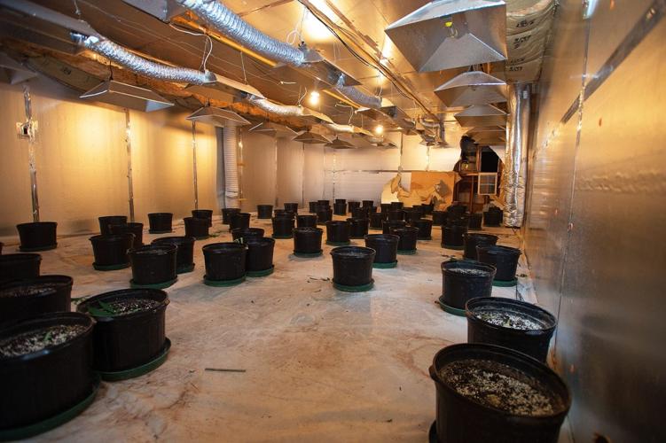 DCSO conducts drug bust at Sapona home | News | the-dispatch.com