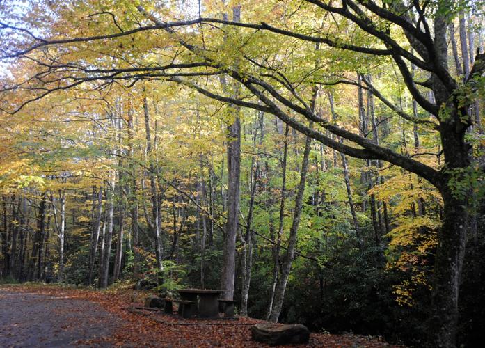 Fall colors Blue Ridge Parkway | News | the-dispatch.com