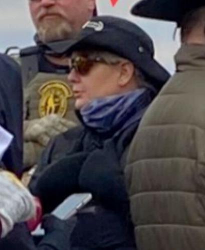 Steele 'swept along' by Jan. 6 mob, filing says | | the-dispatch.com