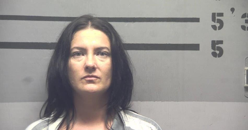 Indiana woman jailed after stealing vehicle on I-69 | Local News | the ...