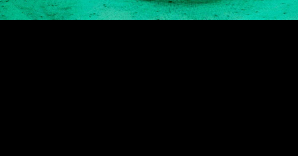 Barbara Jean Gray Johnson | | the-messenger.com