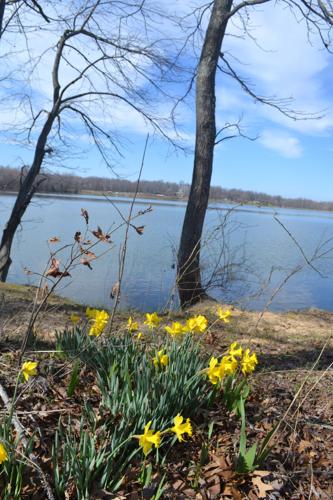 SPRING | Dawson Springs Progress | the-messenger.com