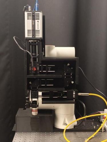 ‘Intelligent tattoo’ detects deadliest skin cancer before it appears ...