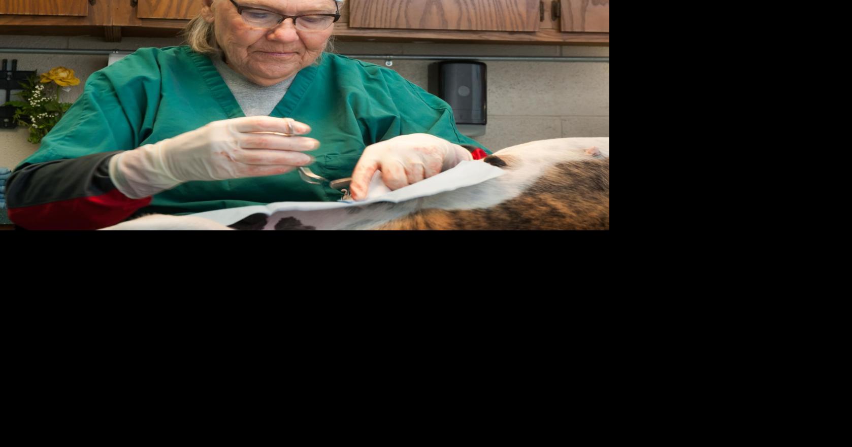 A little pink ribbon: The Kay Helms story | News | theadanews.com