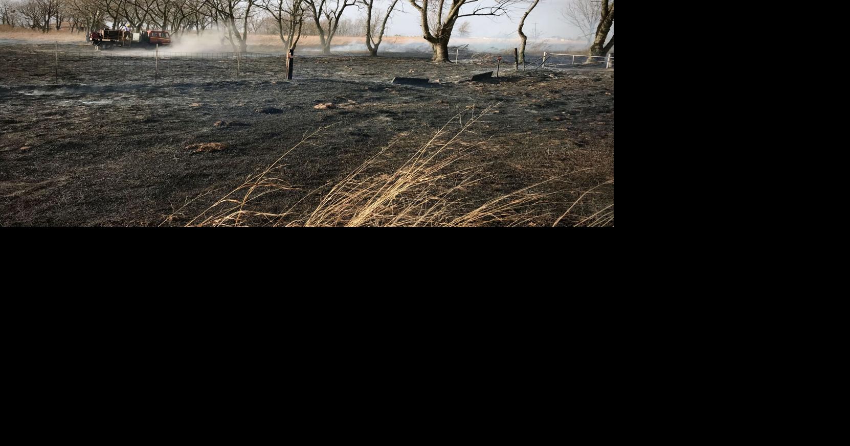 Firefighters battle fast-moving grass fire Friday | Local News ...