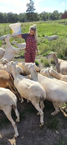 Elementary guidance counselor finds joy as a Shepherdess on her own ...