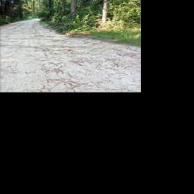 Murder victim found in county | News | thealmatimes.com