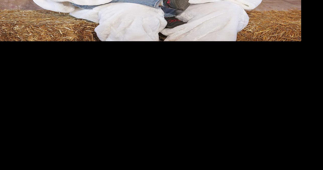 Bunny Bash is coming, welcoming a springtime celebration | News ...