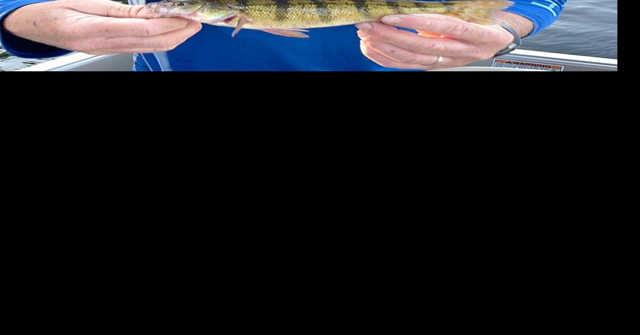 Adam Wayne Jackson | Obituaries | theameryfreepress.com