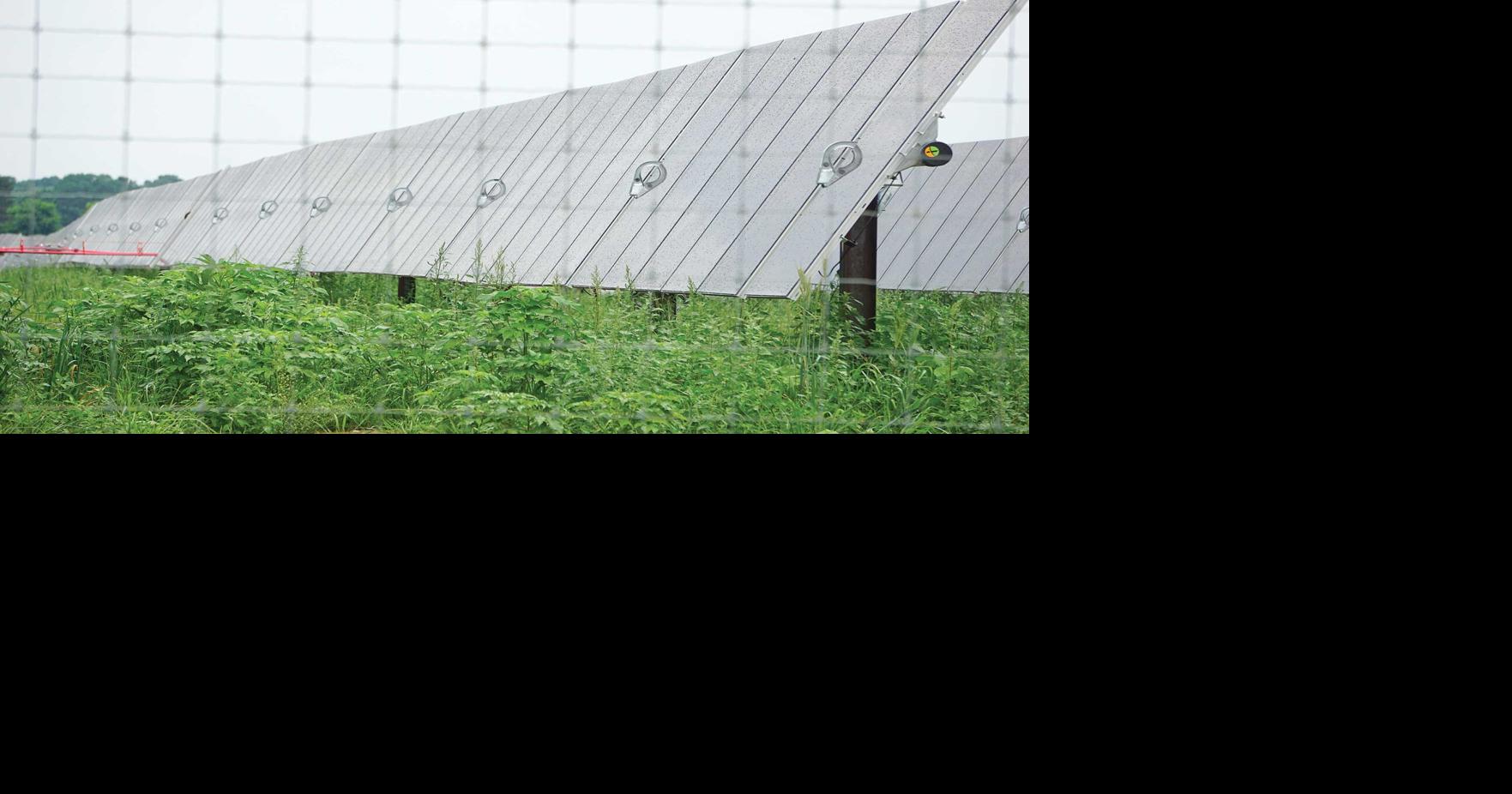 Apple River Solar Project celebrates progress, slated for fall ...