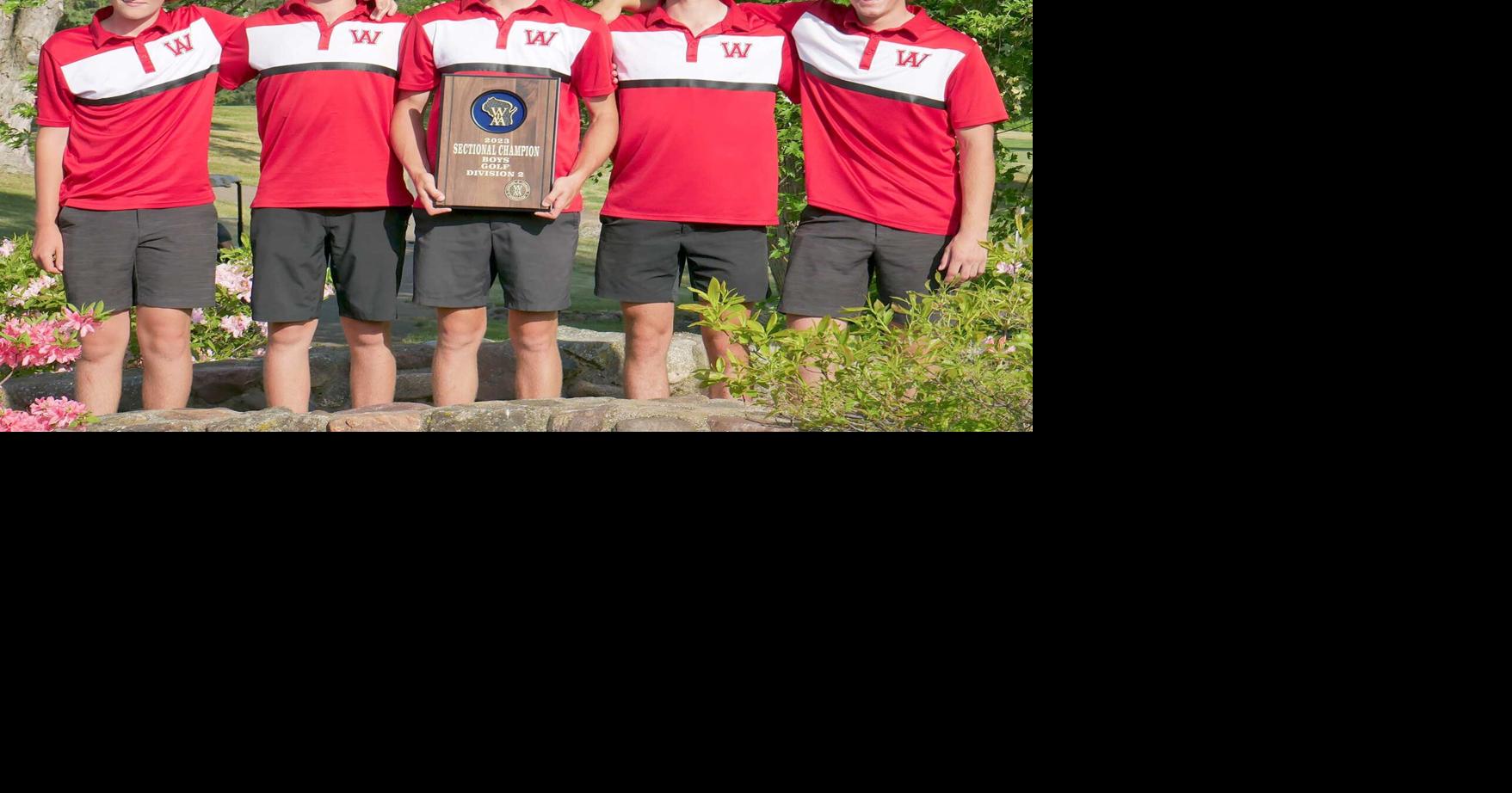 Amery boys golf repeats as sectional champion | Sports | theameryfreepress.com