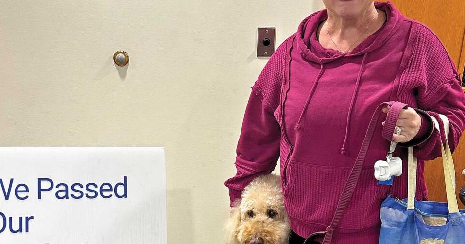 Therapy animals bring happiness to patients at Amery Hospital and ...