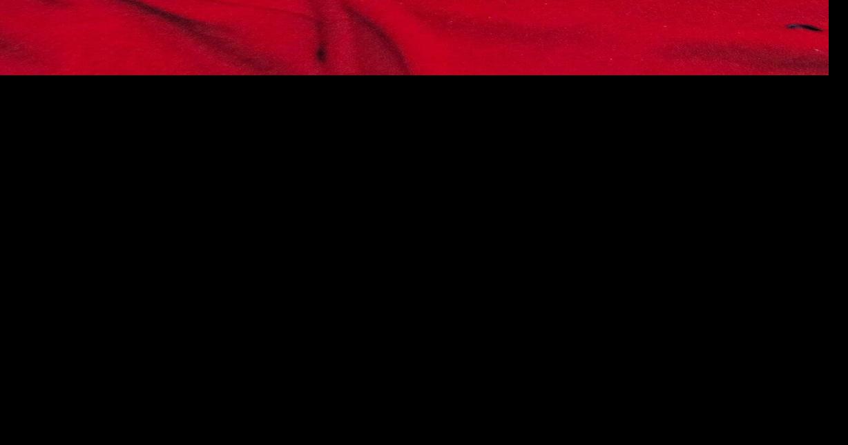 Dr. John Russell Bruner DVM | Obituaries | theameryfreepress.com