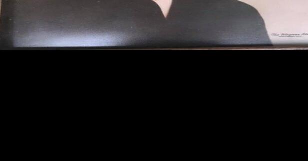 Shirley Briscoe | Obituaries | thearabtribune.com