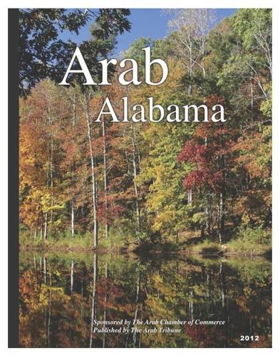 Second Arab magazine set for February release | News | thearabtribune.com