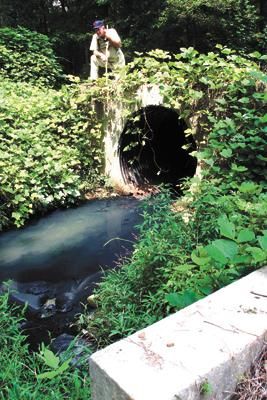 Copeland residents fed up with old overflow problem | News ...