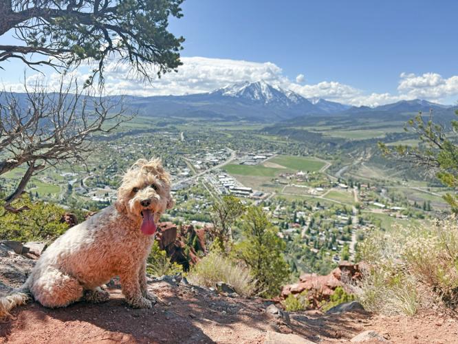 Town Guide: Carbondale | Authentic | theaspenlocal.com