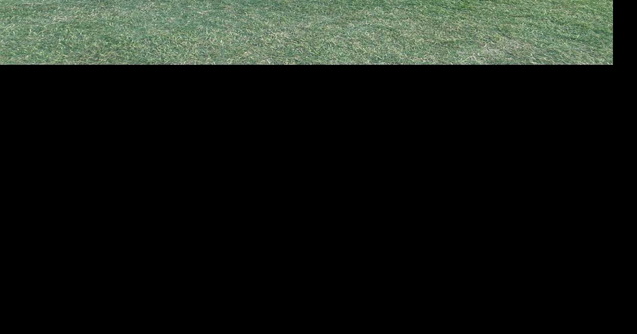 Frederica Academy golf finishes third at state tournament | Local ...