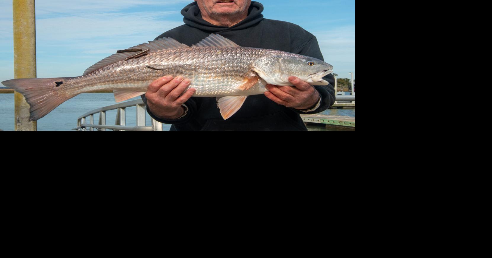 Column/Perspective: 365 days, 365 fish, a year of patience and ...