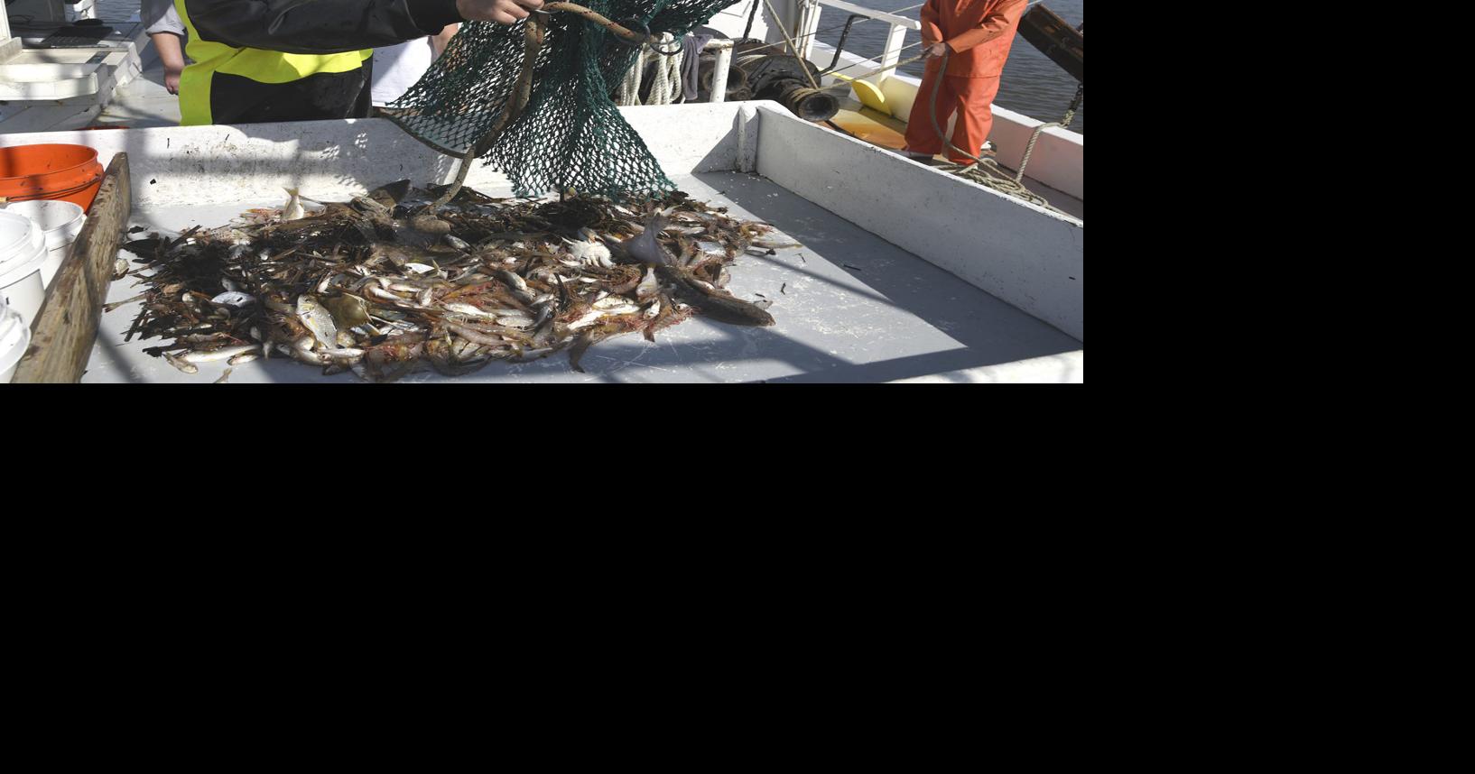 Behind the scenes, on the water: CRD staff work the sounds year-round ...