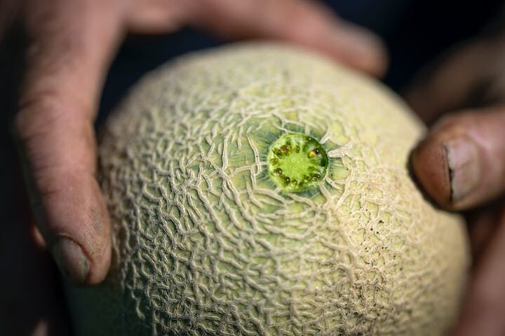Laura Yuen: It’s really hard to pick a perfectly ripe watermelon ...