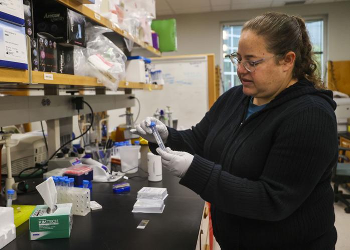 A USF professor discovered what was killing sea urchins in Florida ...