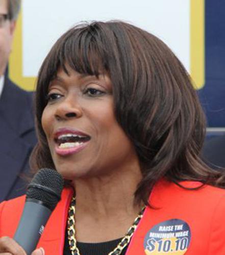 2014 Election Guide | Local News | thebrunswicknews.com