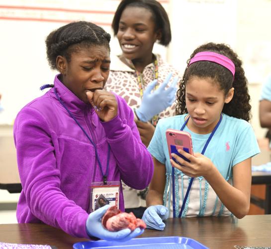 Dissection provides pupils valuable anatomy lesson | Local News ...