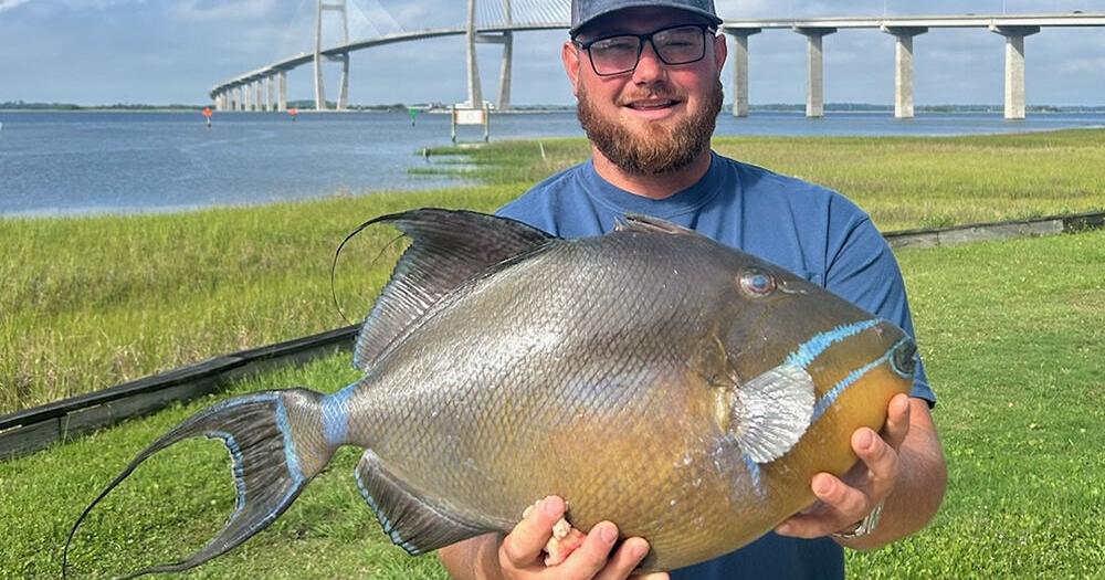 Brunswick man sets new triggerfish state record | Local News | thebrunswicknews.com
