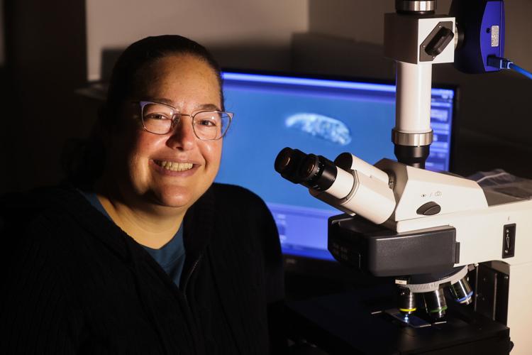 A USF professor discovered what was killing sea urchins in Florida ...