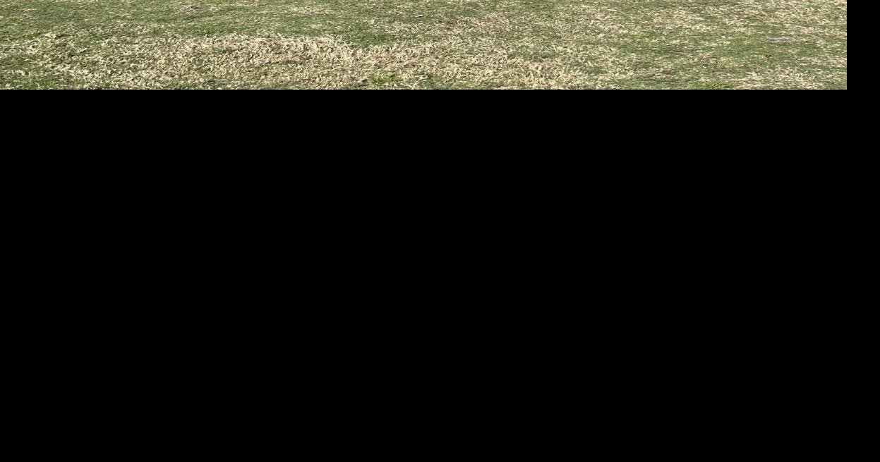 GOING LOW: Frederica's Roy Boyd shoots personal best at Johnny Paulk ...