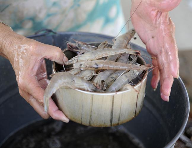 Family bait business an island in stream of life | Local News ...