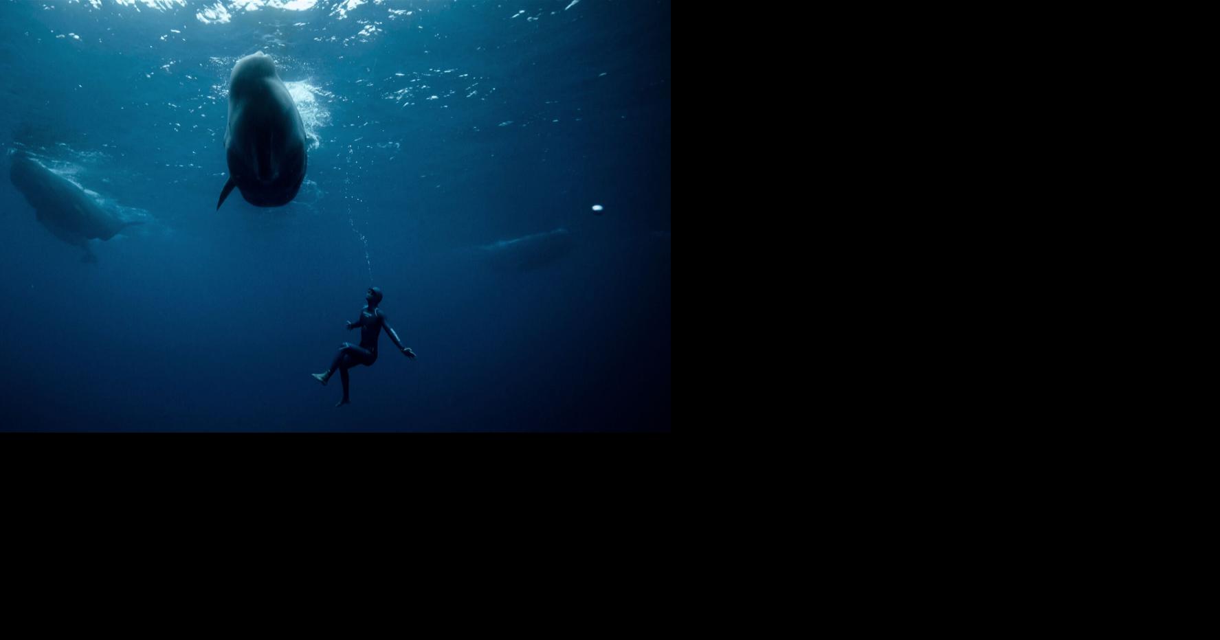 In the underwater tragedy of Netflix's 'Deepest Breath,' the appeal of ...
