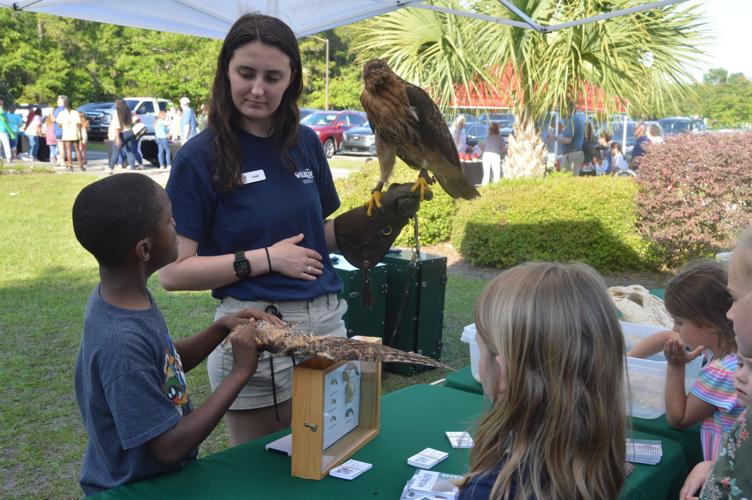 Satilla Marsh Elementary celebrates Earth Day | Newspapers in Education ...