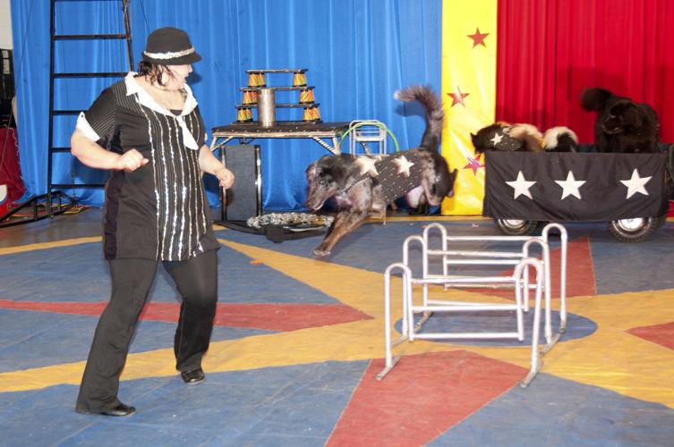 Star Family Circus brings small circus fun to town | Life ...