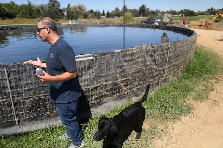 How a California caviar producer with a fake Russian name became the ...