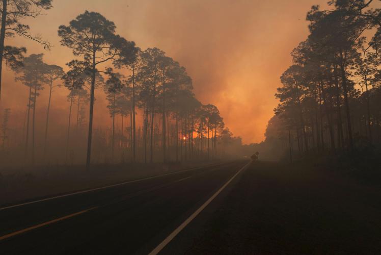 Okefenokee Fire Is Nation S Largest Local News Thebrunswicknews