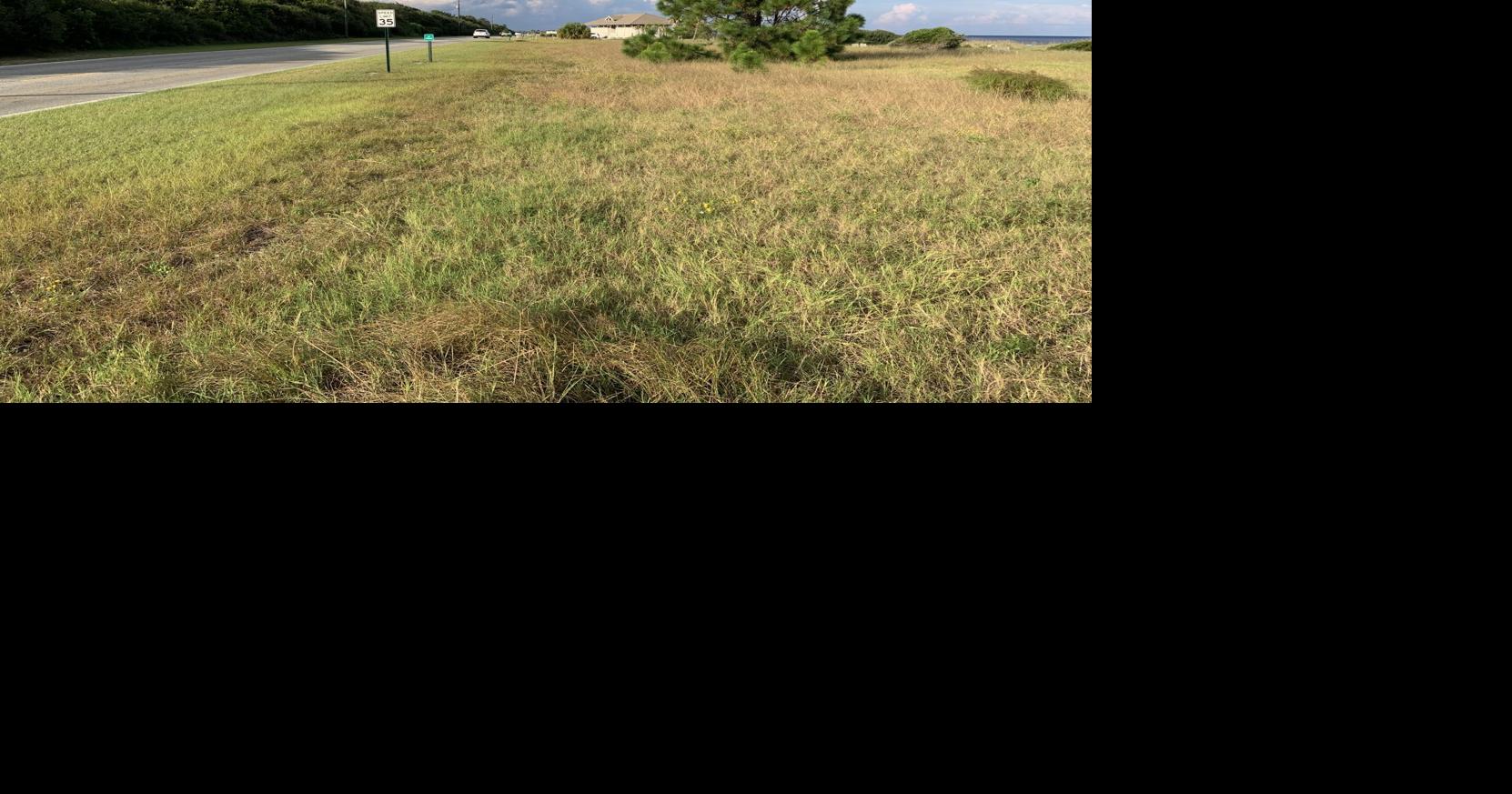 Georgia Audubon to restore bird-friendly habitat on Jekyll | Local News ...