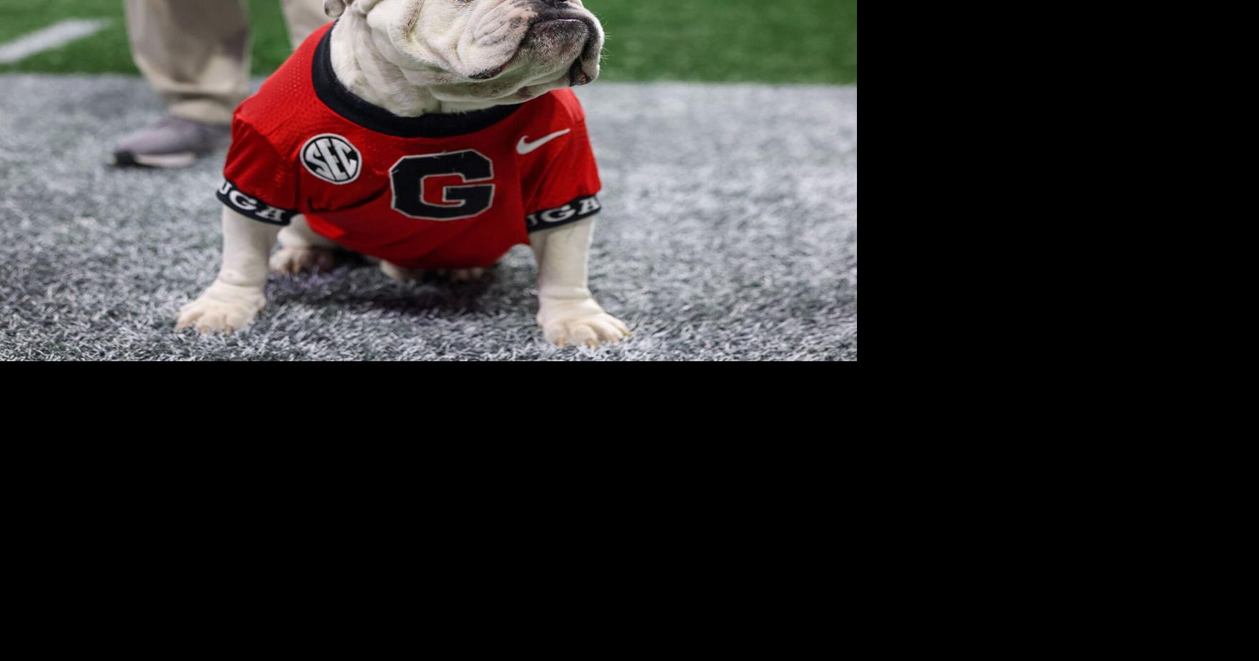 RIP, UGA. A darn good Dawg | | thebrunswicknews.com