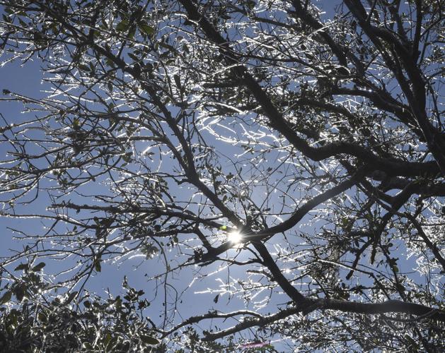 Icy conditions descend upon Glynn County | Local News ...