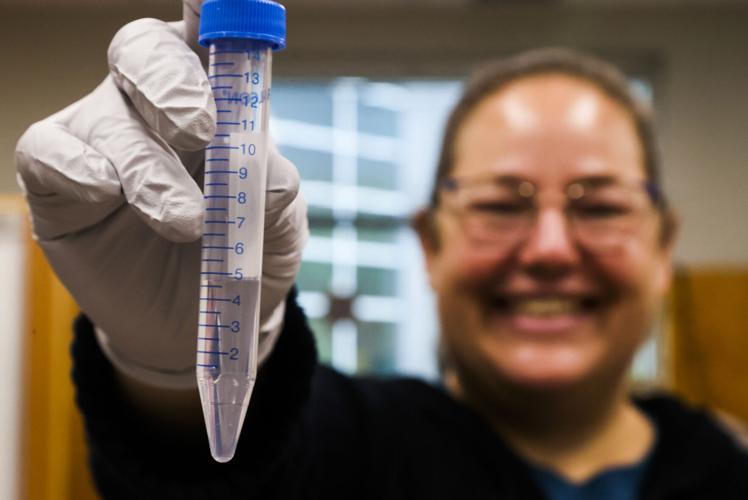 A USF professor discovered what was killing sea urchins in Florida ...