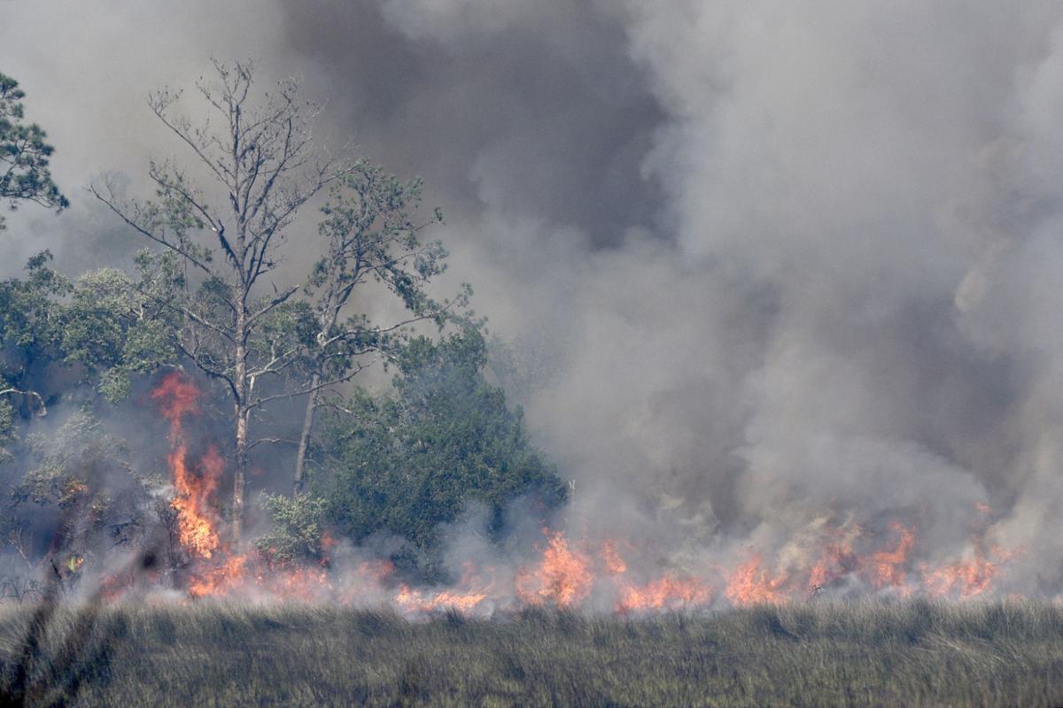 Marsh fire burns bridge at island golf course | Local News | The ...